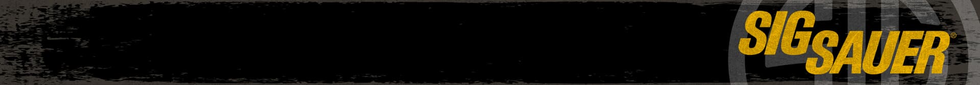 SIG SAUER P211-GTO | Precision 9mm Double-Stack 1911 Pistol - EuroOptic