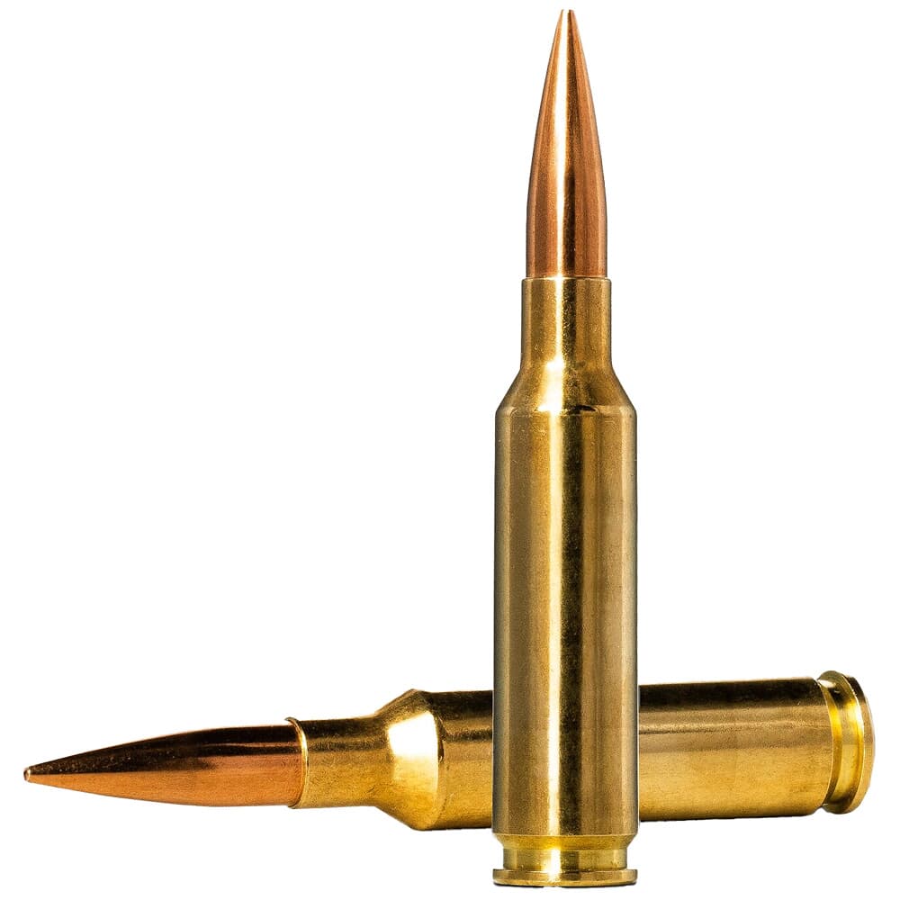 Norma 6.5 Creedmoor Golden Target-143gr Centerfire Rifle Ammo - EuroOptic