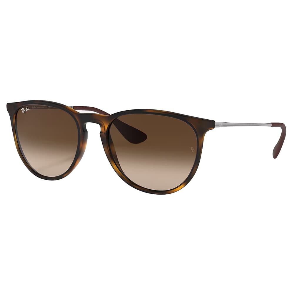 Ray-Ban Erika Sunglasses - EuroOptic