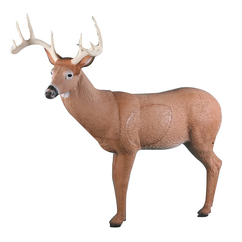 Rinehart Big Ten Buck Archery Target 120 For Sale | SHIPS FREE - EuroOptic